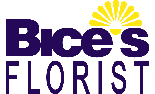 Same Day Flower Delivery Coppell, TX | Bice's Florist